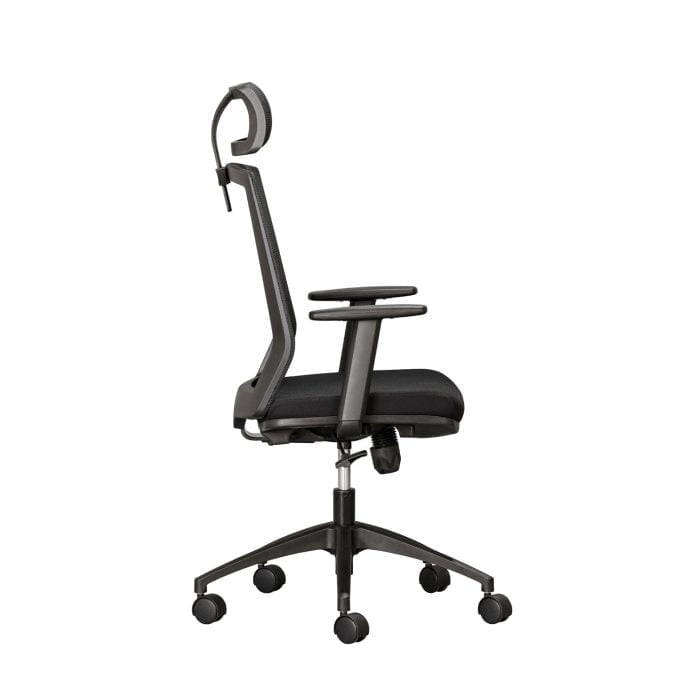 OrthoMax Orthopedic Chair - Karo