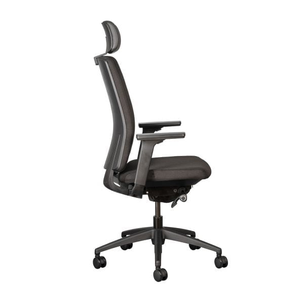 Fenix Ergonomic Office Chair - Karo