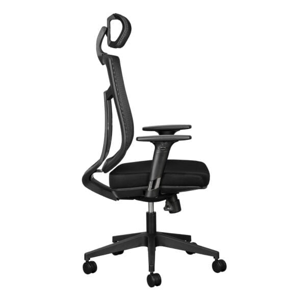 Ergonomic Office Chairs - Karo
