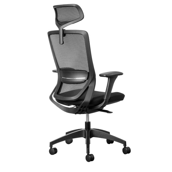 Fenix Ergonomic Office Chair - Karo
