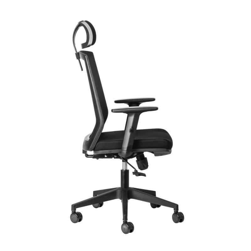 Leila Ergonomic Office Chair - Karo