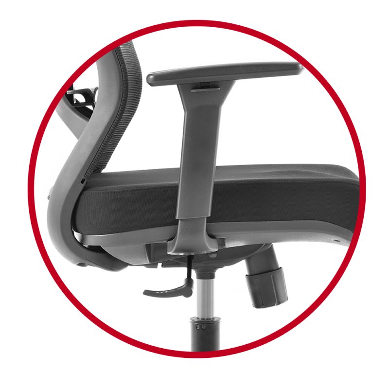 Lumo Ergonomic Office Chair - Karo