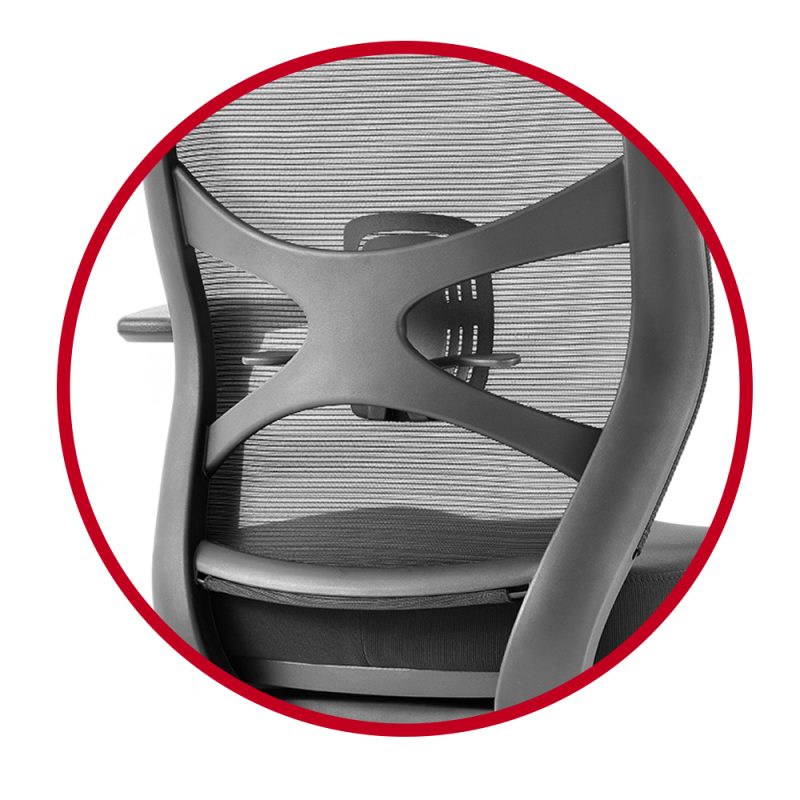Lumo Ergonomic Office Chair - Karo